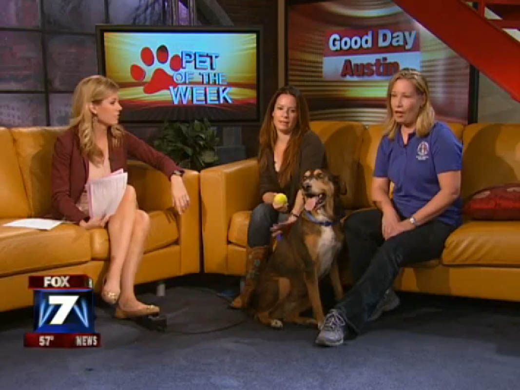 Good day Austin ~ Stills