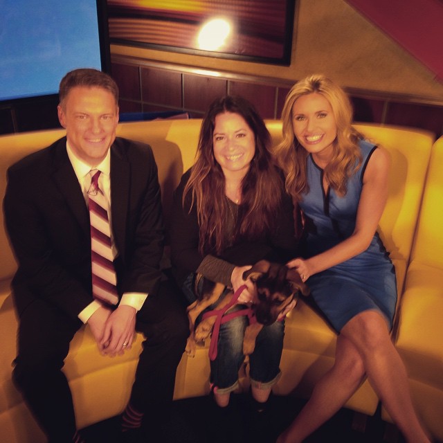 Good day Austin ~ Stills