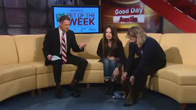 Good day Austin ~ Stills